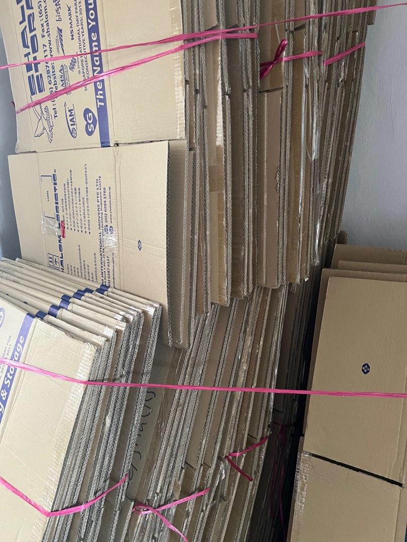 Book Carton Boxes for moving (thick), Furniture & Home Living, Home ...