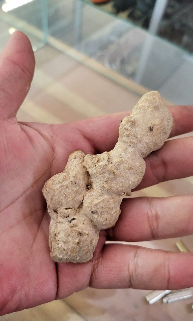 HALIA JADI BATU BARANG PUSAKA TURUN TEMURUN ANTIK DAN RARE, Hobbies ...