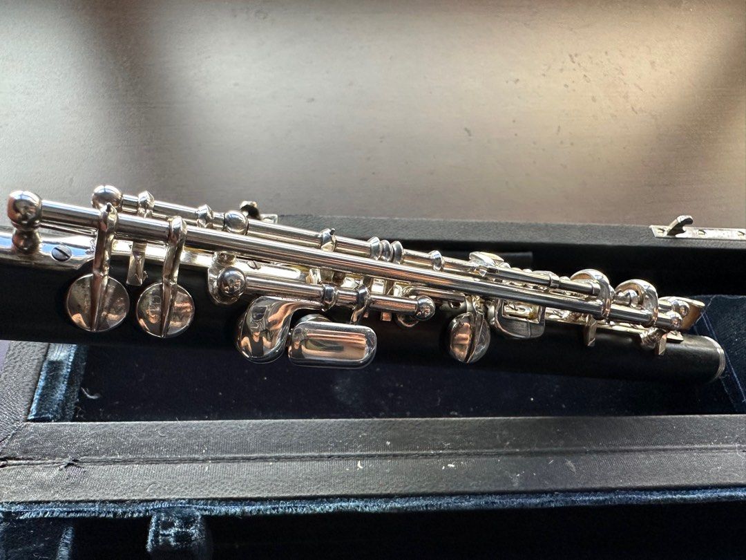 Hammig Piccolo, Hobbies & Toys, Music & Media, Musical Instruments on ...