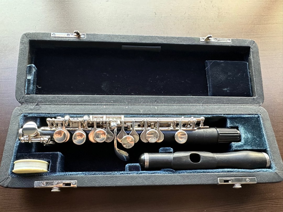 Hammig Piccolo, Hobbies & Toys, Music & Media, Musical Instruments on ...