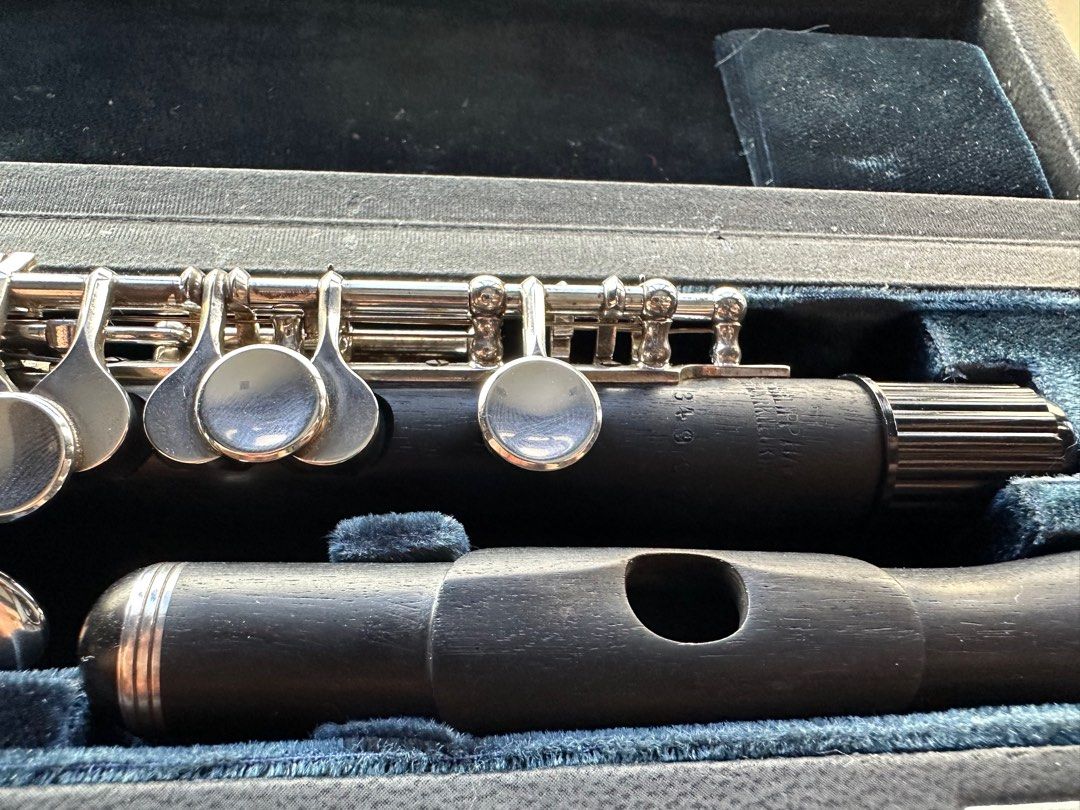 Hammig Piccolo, Hobbies & Toys, Music & Media, Musical Instruments on ...