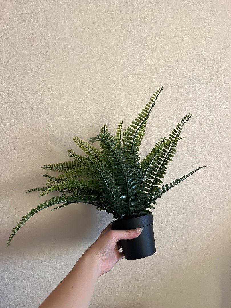 Ikea FEJKA artificial / fake fern plant, Furniture & Home Living, Home ...