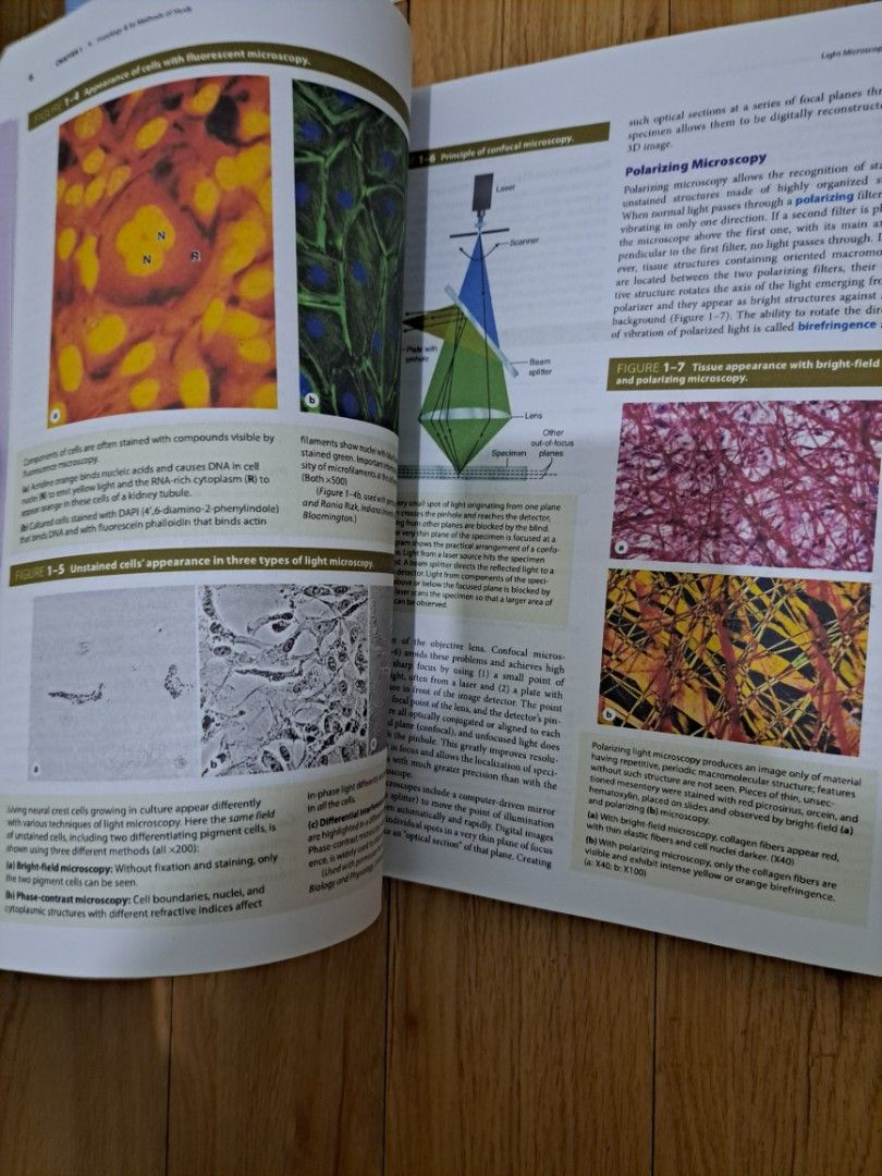 Junqueira's Basic Histology Text & Atlas Sixteenth edition (REPRINTED ...