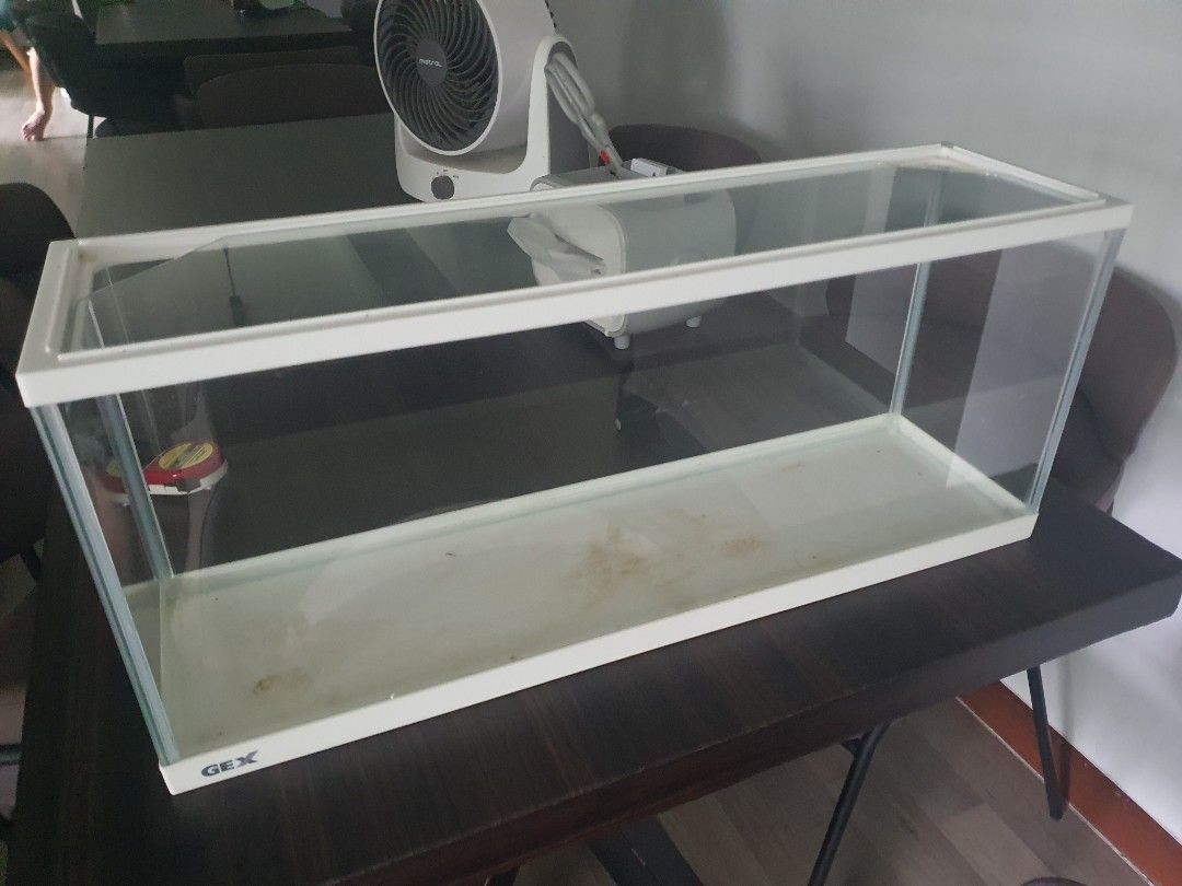 Long Narrow Fish tank, Pet Supplies, Homes & Other Pet Accessories on ...