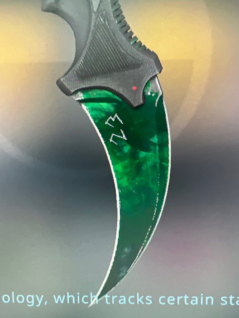 karambit doppler ruby stattrak