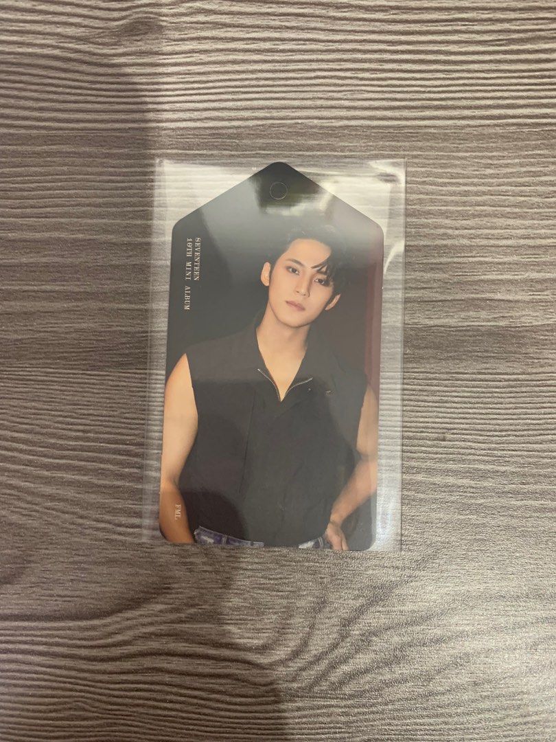 wtt mingyu fml deluxe ver paper Tag to joshua seventeen svt, Hobbies ...