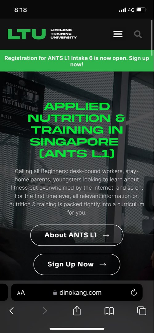 Dinokang ANTS L1, Sports Equipment, Exercise & Fitness, Exercise Mats ...
