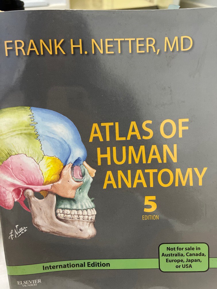 {Frank H.Netter}Atlas of Human Anatomy 5th Edition, Hobbies & Toys ...