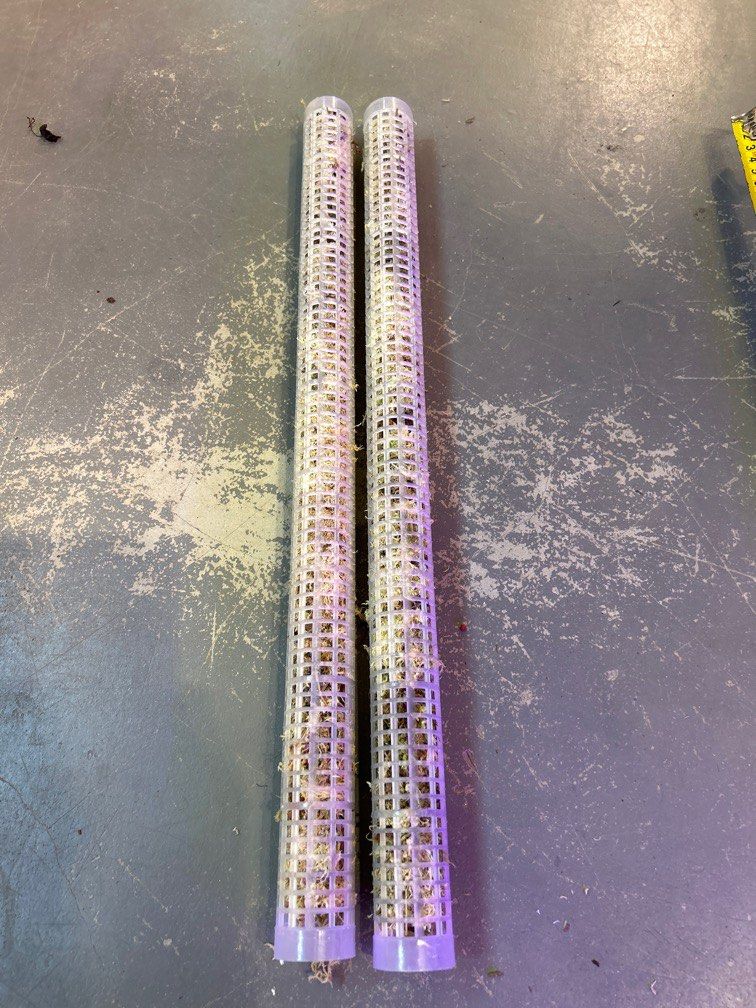 Grow Pole 50cm (Plastic pole with moss) $8 each 2for $15, Furniture ...