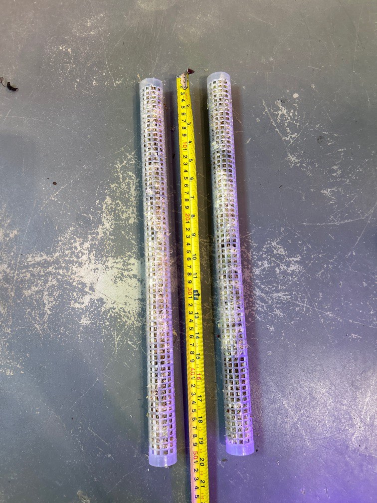 Grow Pole 50cm (Plastic pole with moss) $8 each 2for $15, Furniture ...