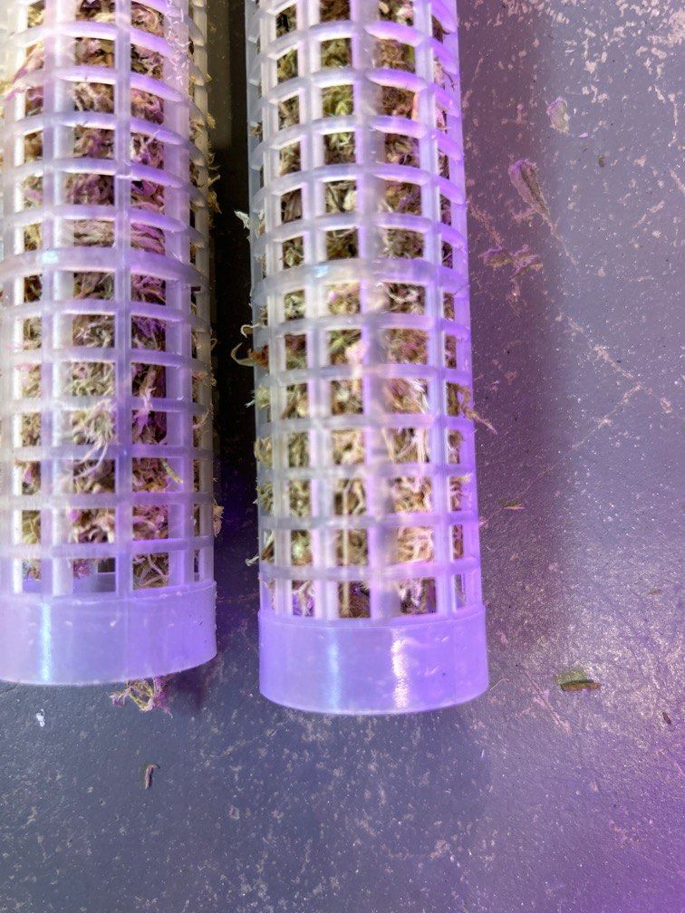 Grow Pole 50cm (Plastic pole with moss) $8 each 2for $15, Furniture ...