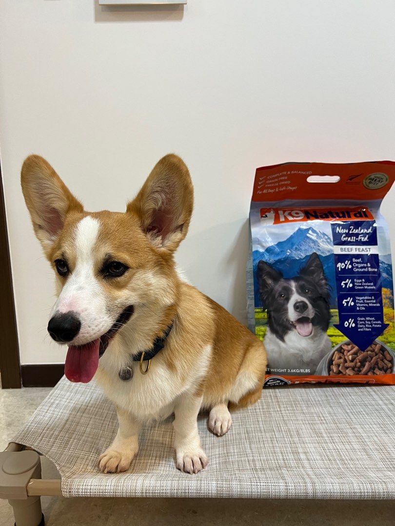K9 Natural Beef Feast 3.6kg, Pet Supplies, Pet Food on Carousell
