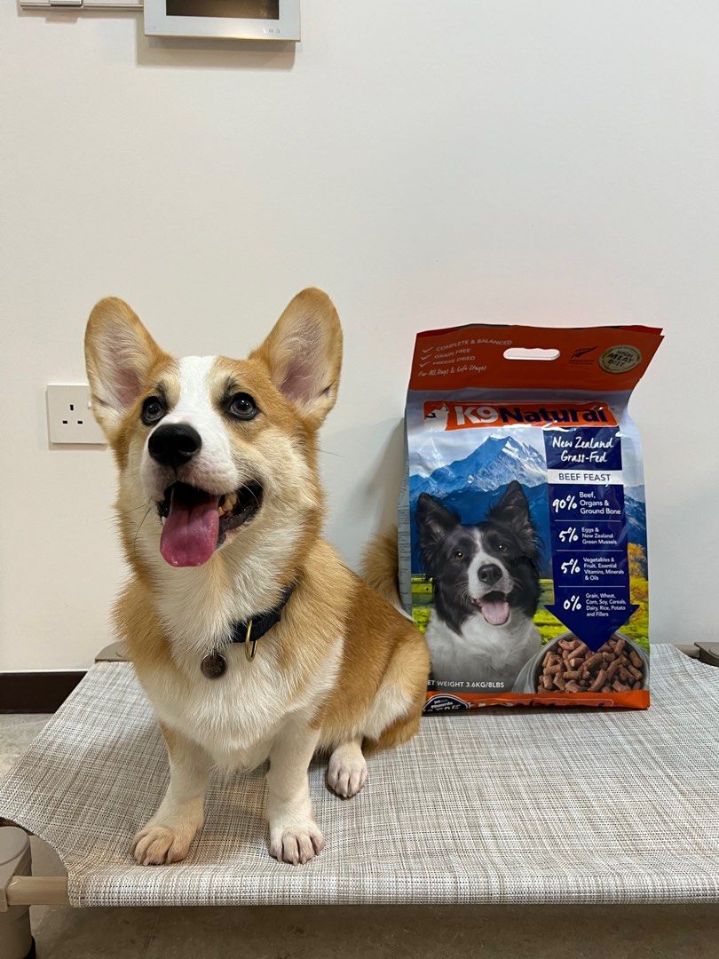 K9 Natural Beef Feast 3.6kg, Pet Supplies, Pet Food on Carousell