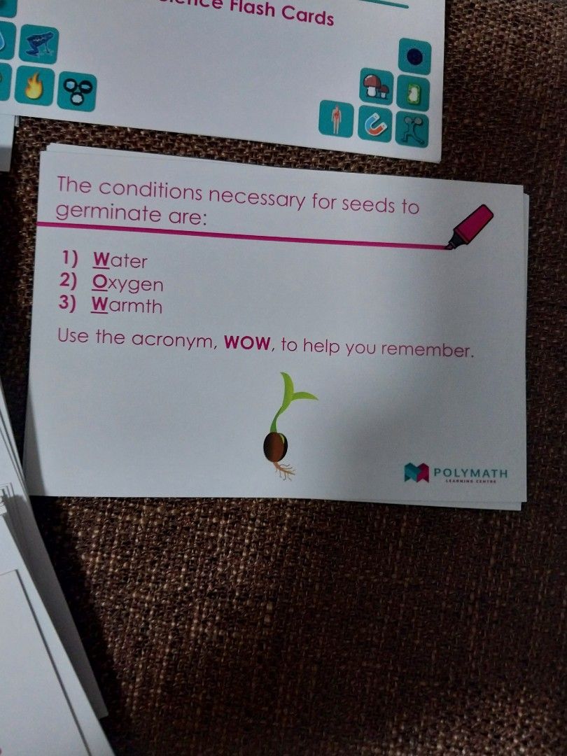 PSLE Flash cards Science, Hobbies & Toys, Books & Magazines, Assessment ...