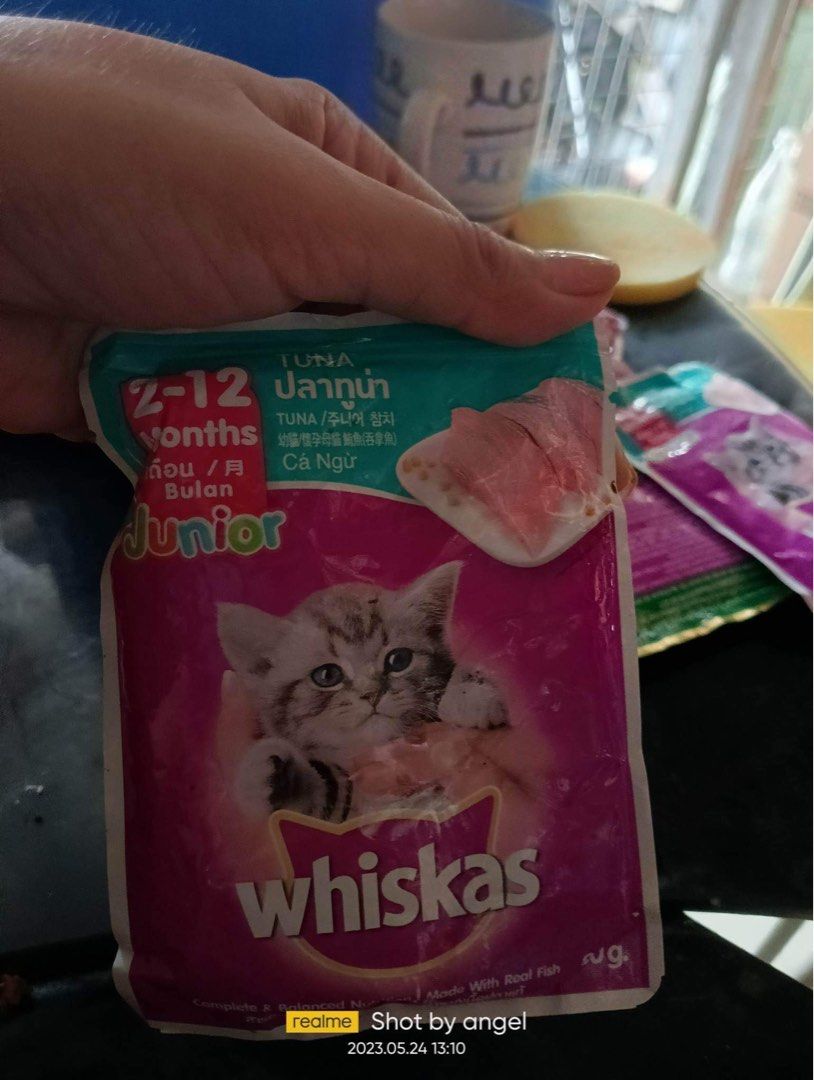 Sachet pet food on Carousell