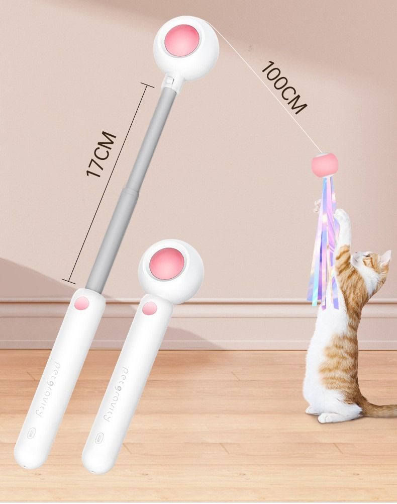 (SG READY STOCK) 2-in-1 Cat Toy Teaser & Laser !, Pet Supplies, Homes ...