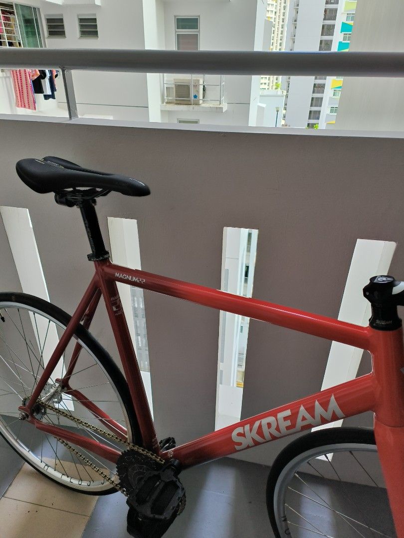 skream magnum 22 WTS/WTT, Sports Equipment, Bicycles & Parts, Bicycles on Carousell