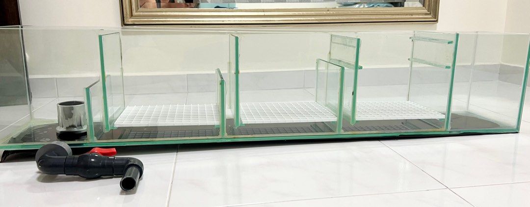 WTS 4ft Glass Top Sump Tank, Pet Supplies, Homes & Other Pet ...