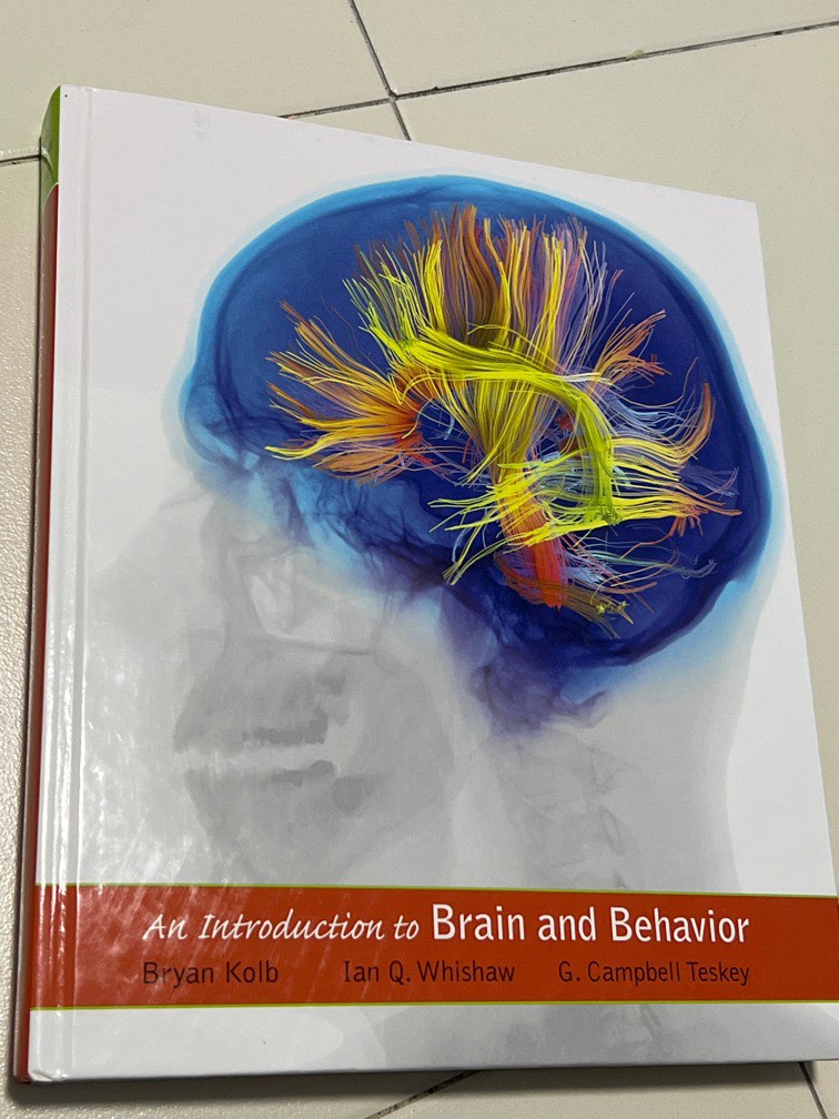 An Introduction to Brain and Behaviour Fifth Edition, Hobbies & Toys, Books & Magazines ...