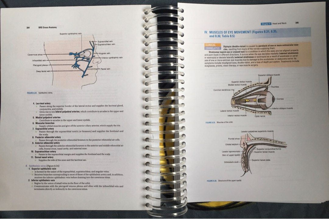 BRS Gross Anatomy 9th edition on Carousell BRS Gross Anatomy 9th edition on Carousell