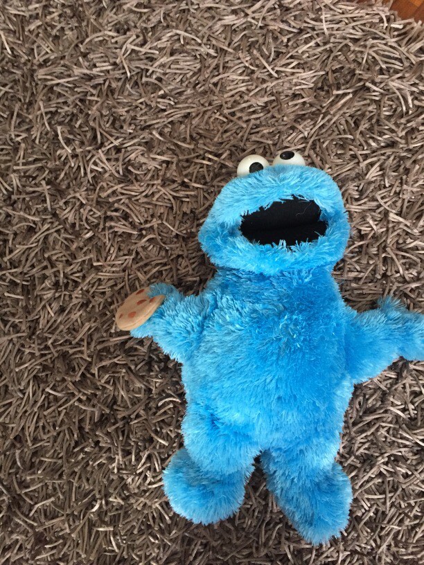 Cookie Monster Hand Puppet - Living Puppets, Hobbies & Toys, Toys ...