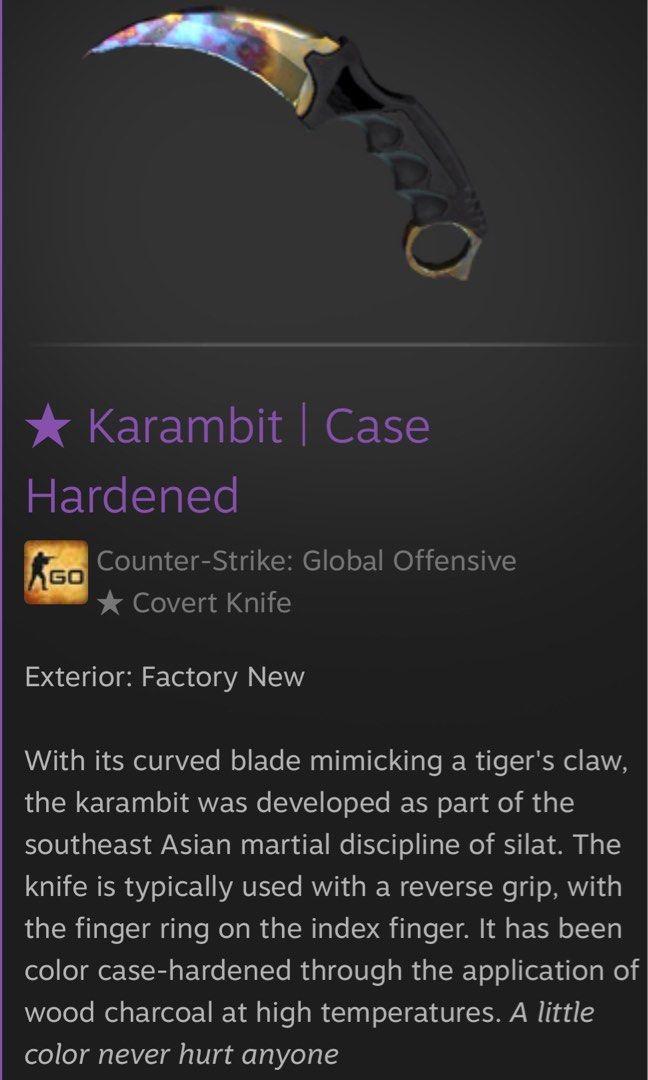 CSGO Knives| Karambit, Bayonet, Paracord, Video Gaming, Gaming Accessories, In-Game Products on ...