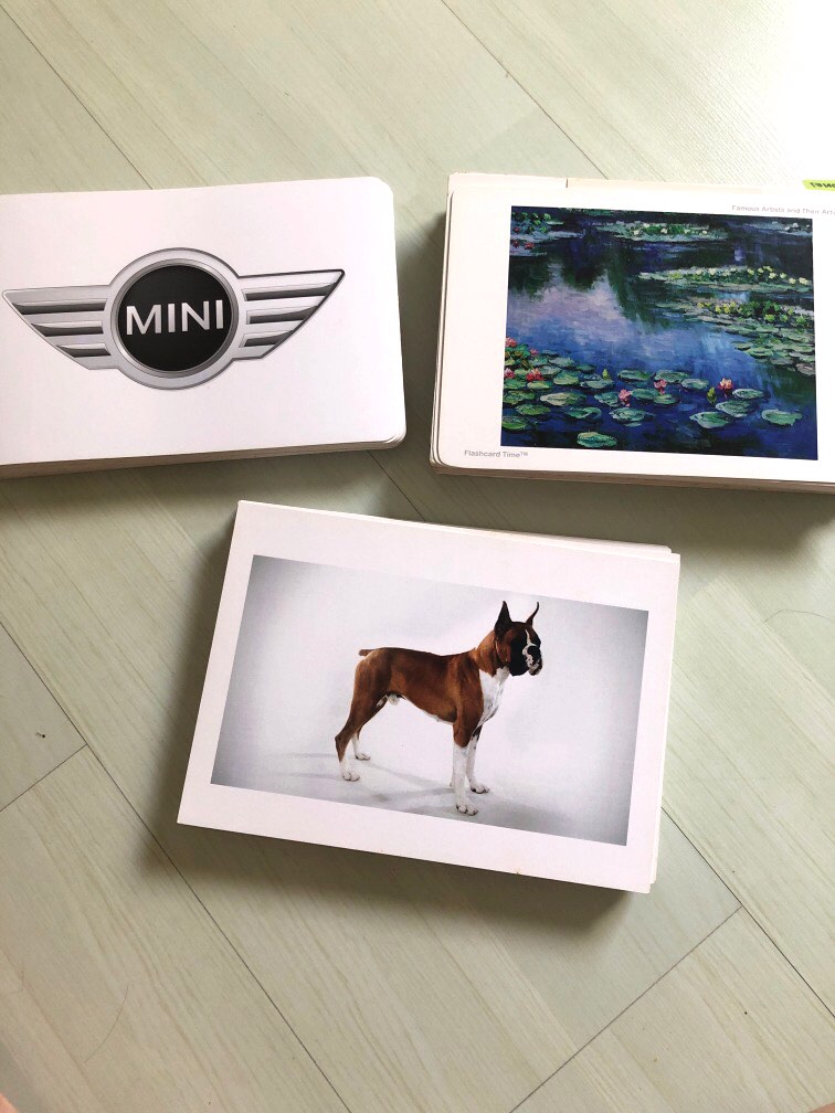 Flashcards - dog breeds, art and artist, vehicle logos, Hobbies & Toys ...