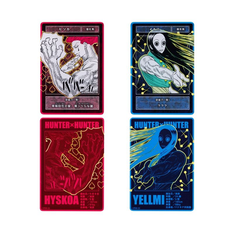 Hunter X Hunter Collectible Thick Acrylic Status Card, Hobbies & Toys ...