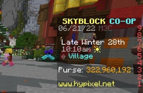 Hypixel Skyblock Coins, Video Gaming, Gaming Accessories, In-Game Products on Carousell