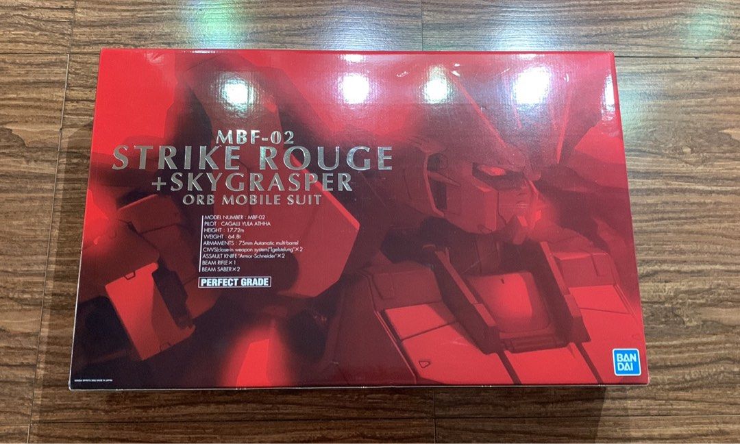 PERFECT GRADE GUNDAM STRIKE ROGUE + SKYGRASPER, Hobbies & Toys, Toys ...