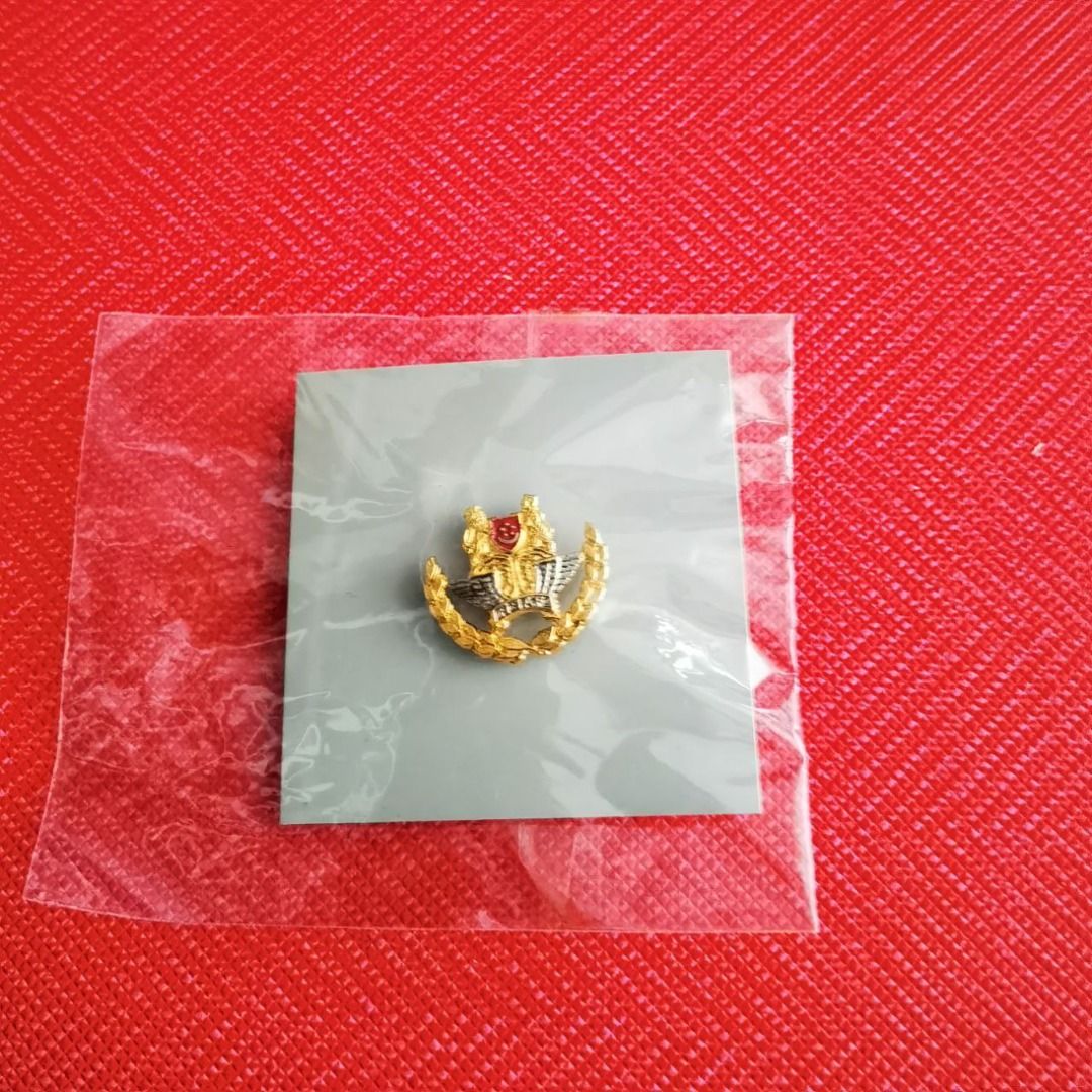 Small RSAF Crest Pin, Hobbies & Toys, Memorabilia & Collectibles ...