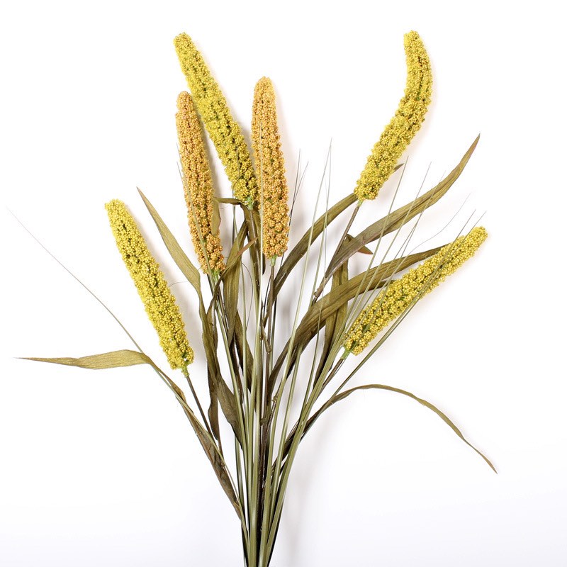 Artificial Millet stalk bunch, Furniture & Home Living, Home Decor ...