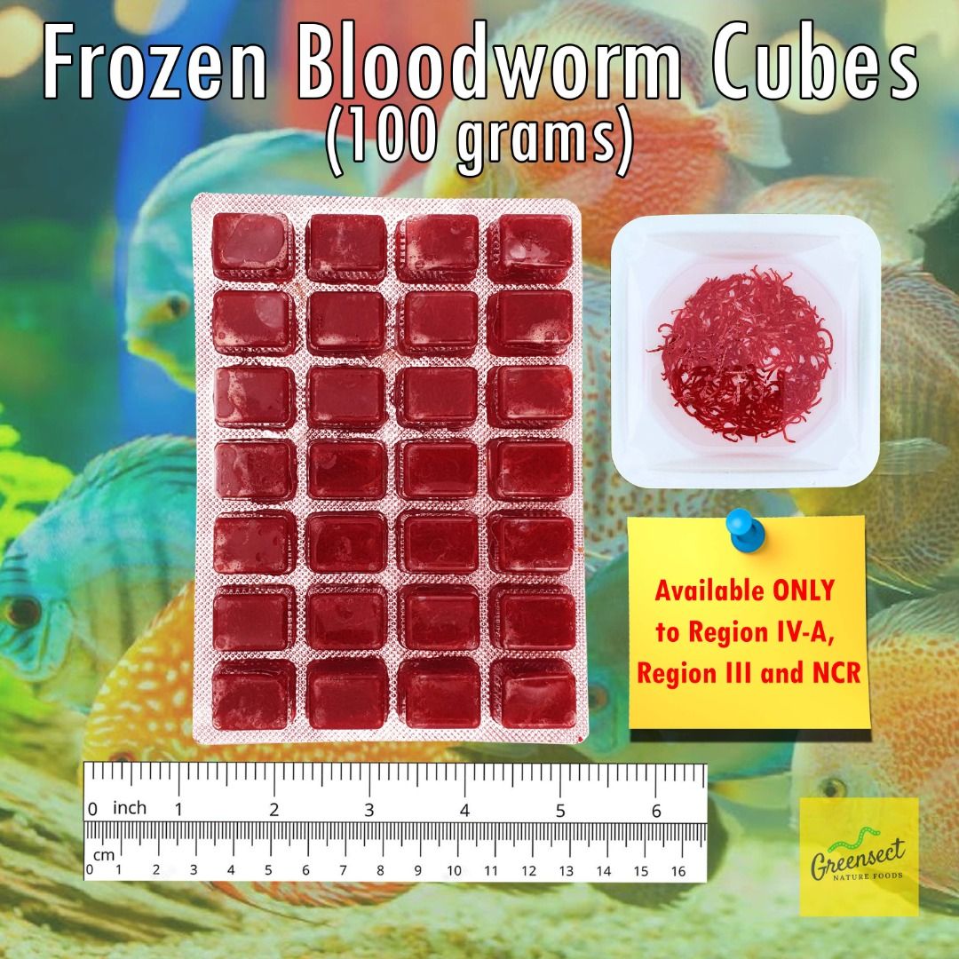 FROZEN BLOODWORM CUBES (WHOLESALE) fish food on Carousell