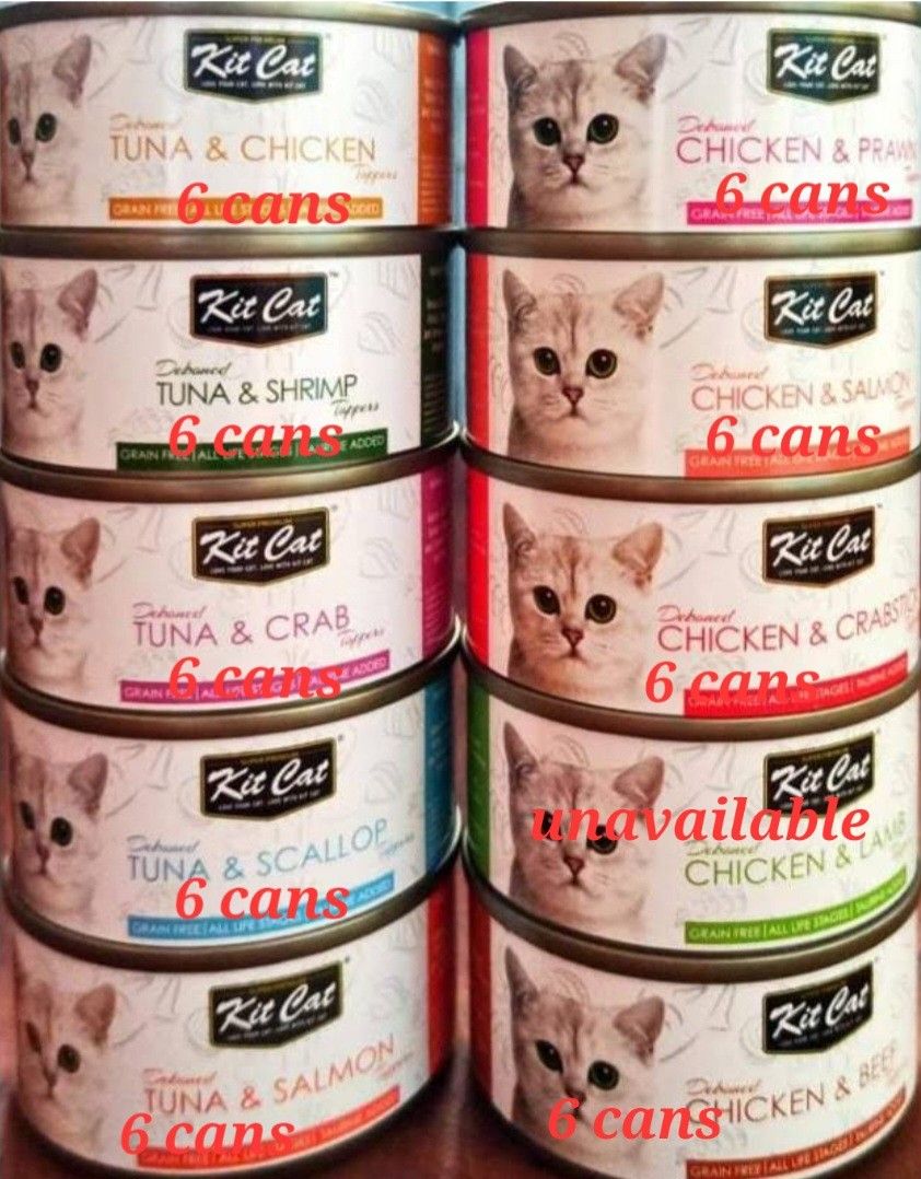 Kitcat Wet Cat Food 80g On Carousell