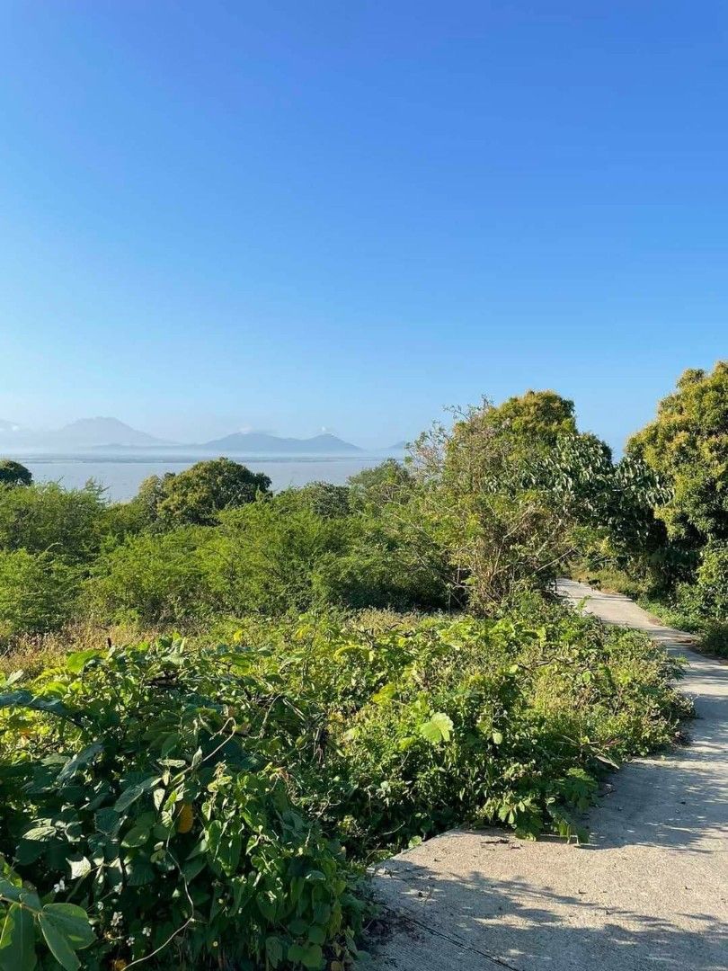 Lot in jala jala on Carousell