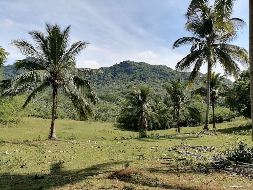 Magallanes Cavite Farm Lot 21 hectares P700/sqm Clean Title, Property ...