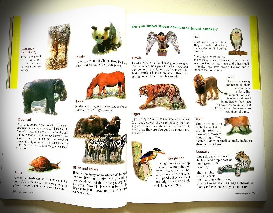 Mini Science Encyclopedia, Hobbies & Toys, Books & Magazines, Fiction ...