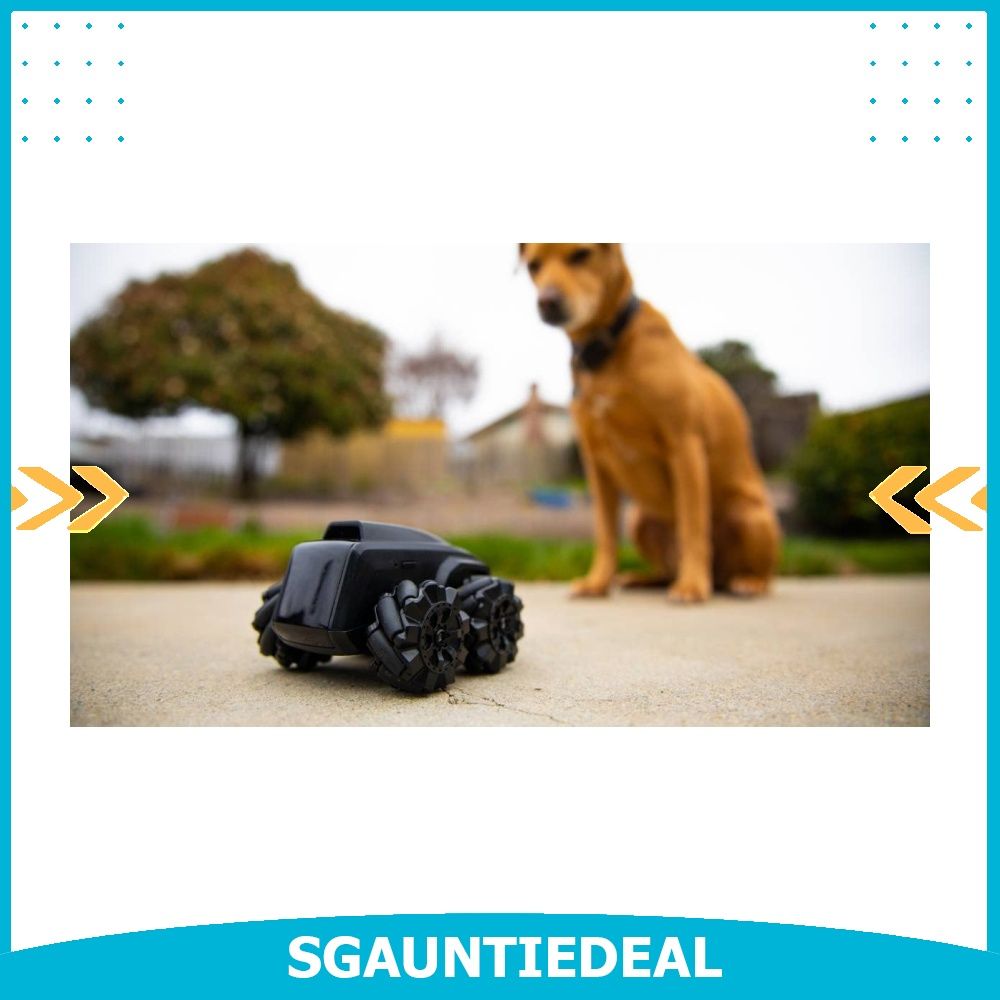 Moorebot Scout - Tiny AI-Powered Smart Camera Mobile Robot for Monitoring, Work with Alexa and ...