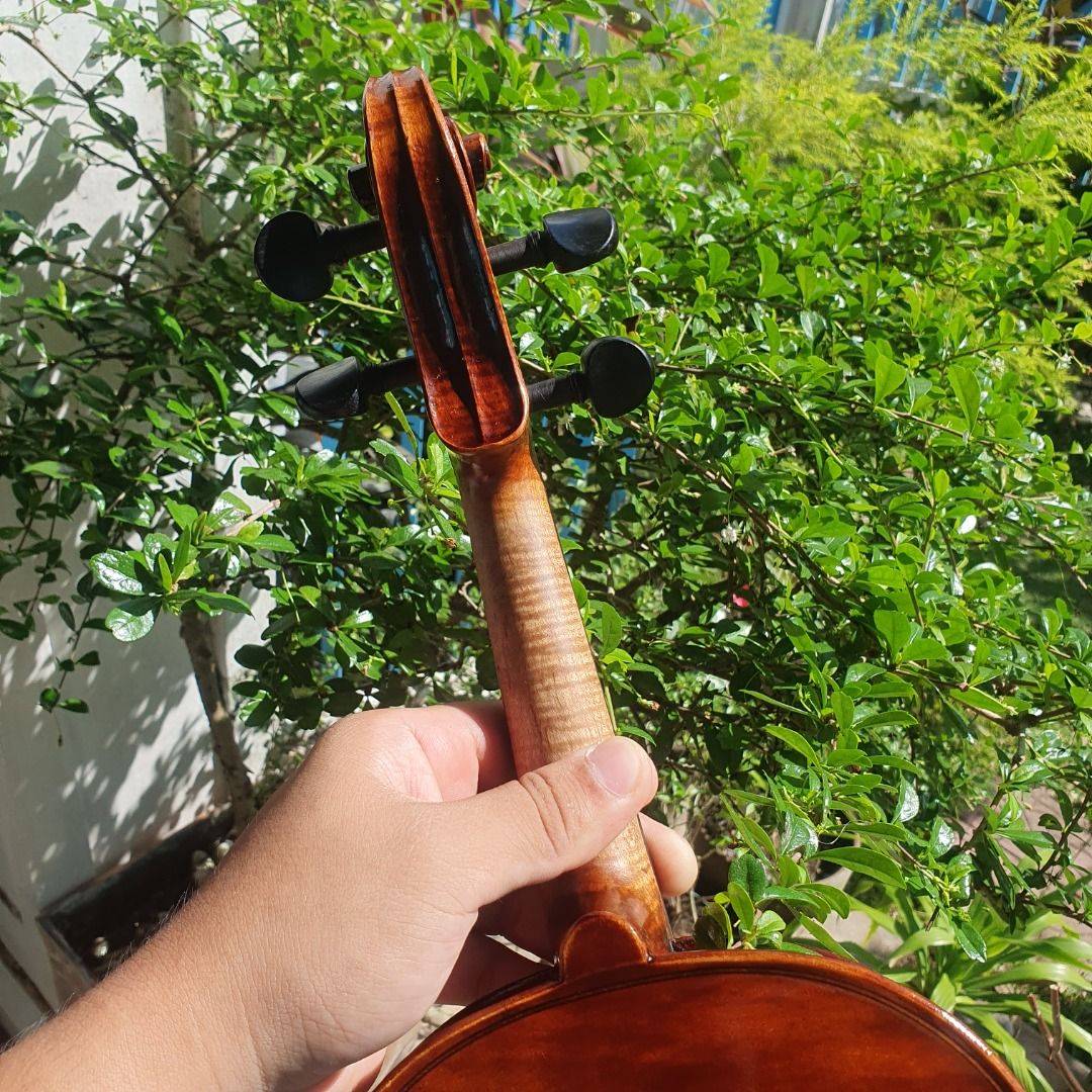 One-piece back Bachendorff pro series Violin, Hobbies & Toys, Music ...