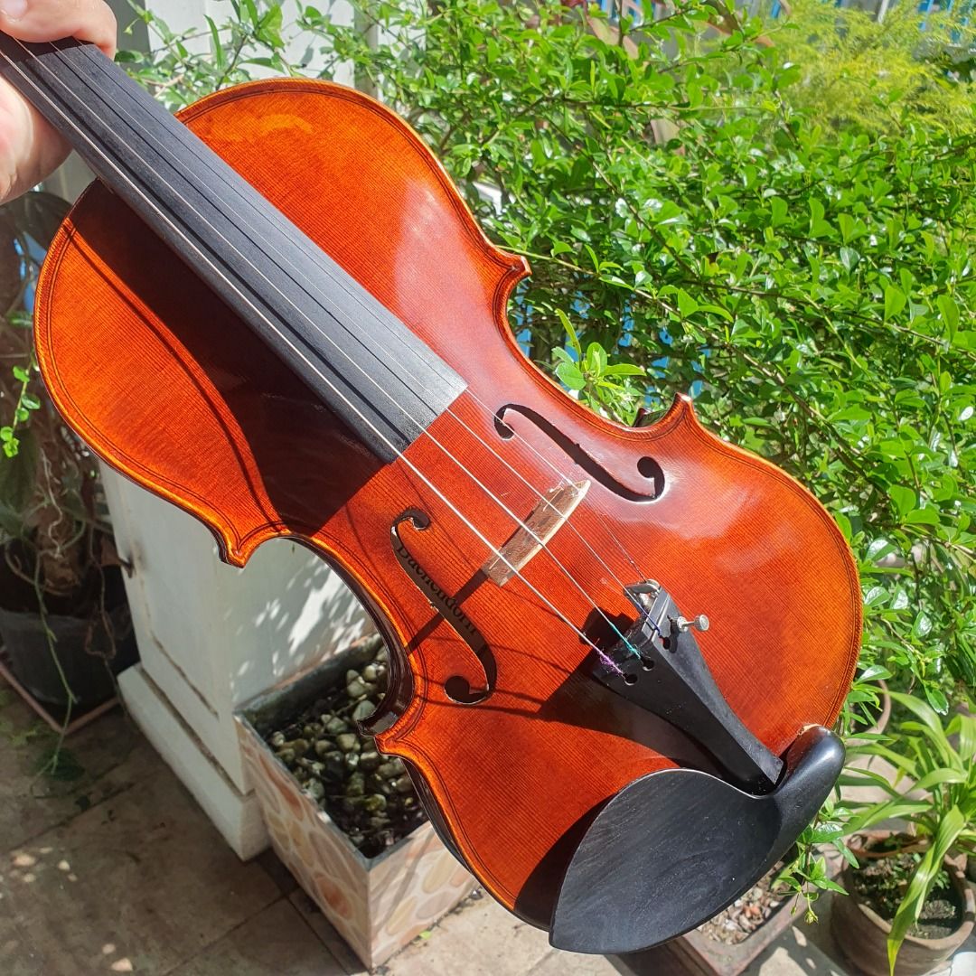 One-piece back Bachendorff pro series Violin, Hobbies & Toys, Music ...