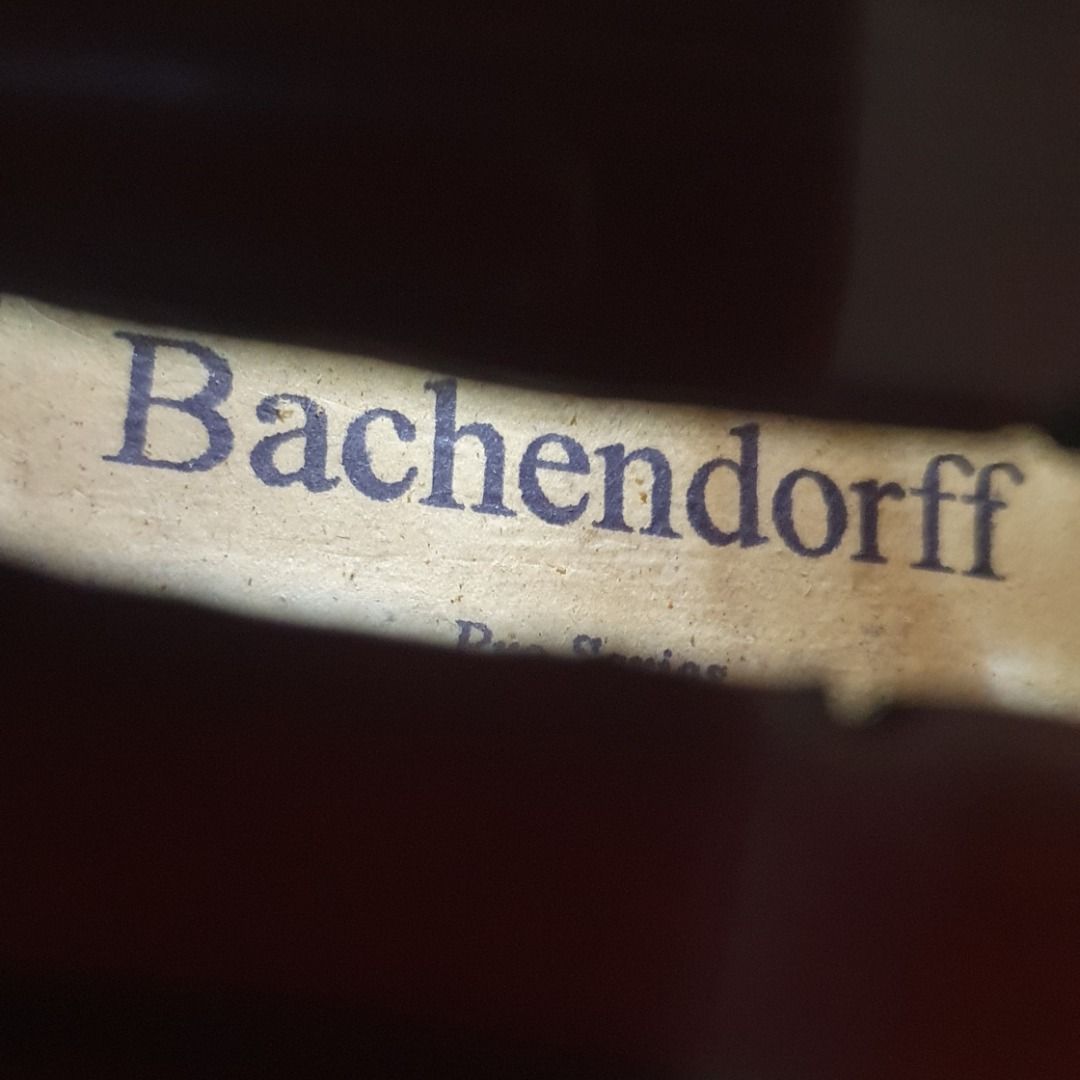One-piece back Bachendorff pro series Violin, Hobbies & Toys, Music ...