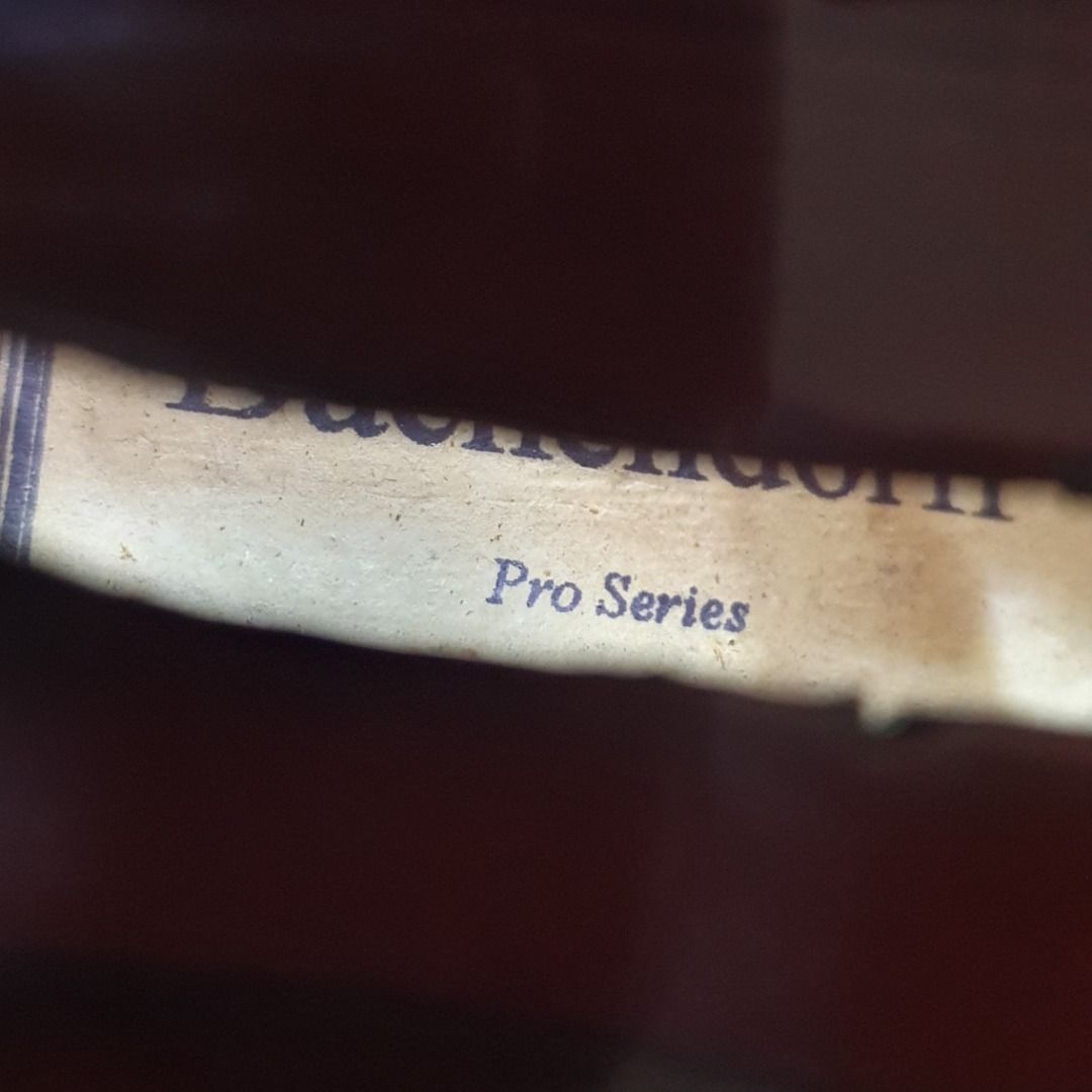 One-piece back Bachendorff pro series Violin, Hobbies & Toys, Music ...