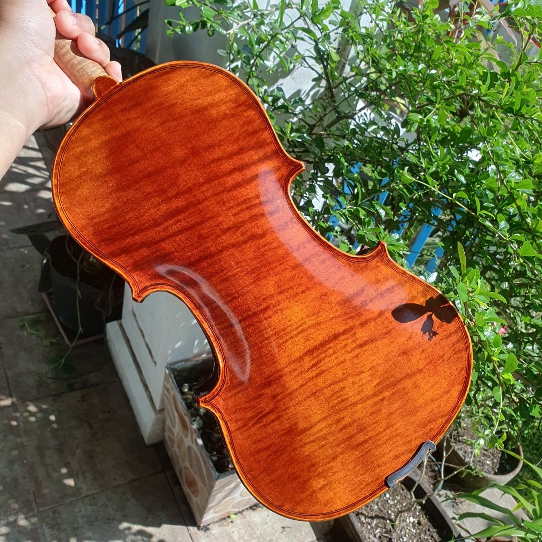 One-piece back Bachendorff pro series Violin, Hobbies & Toys, Music ...