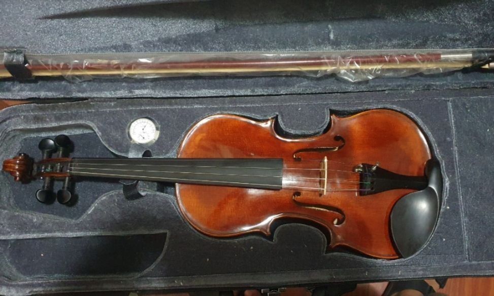 One-piece back Bachendorff pro series Violin, Hobbies & Toys, Music ...