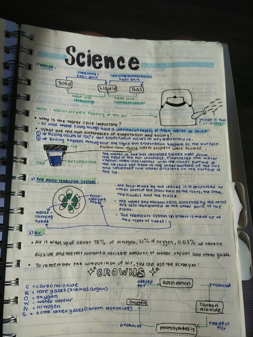 P6 science notes!, Hobbies & Toys, Books & Magazines, Textbooks on ...