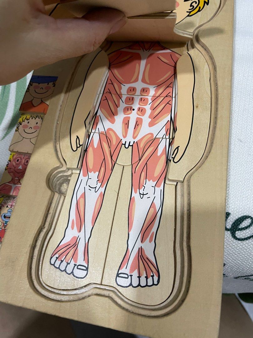 Wooden human body puzzle, Hobbies & Toys, Toys & Games on Carousell