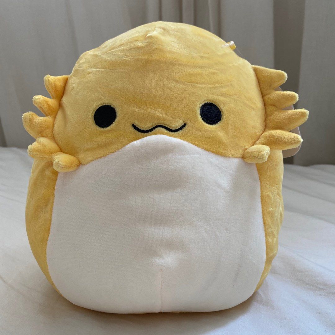 Bertwin the Bearded Dragon 8" Squishmallow, Hobbies & Toys, Toys & Games on Carousell