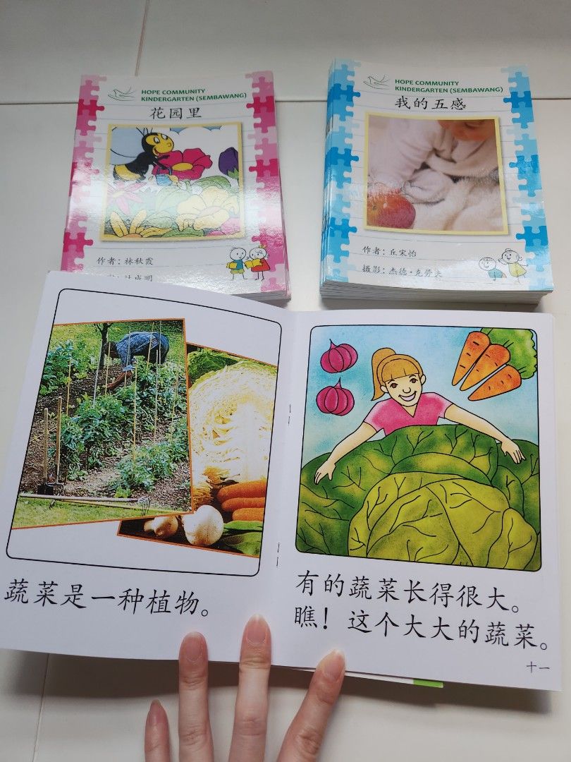 Kindergarten Chinese Readers - Nursery to K2 (24 Books), Hobbies & Toys, Books & Magazines ...