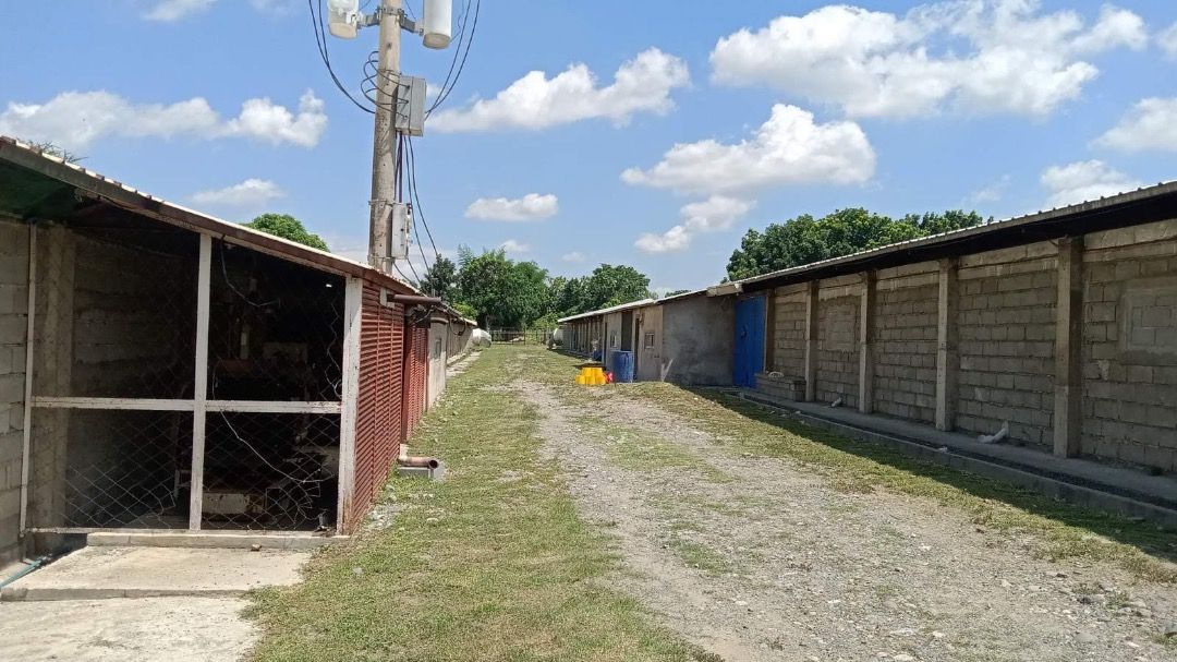 Income Generating Contract Growing Poultry Farm For Sale, Property, For ...
