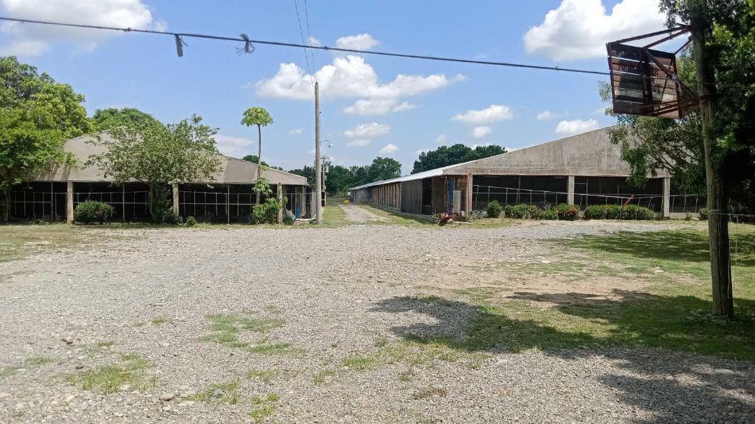 Income Generating Contract Growing Poultry Farm For Sale, Property, For ...